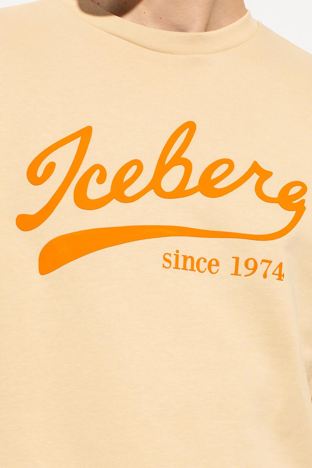 Iceberg Clothing Logo