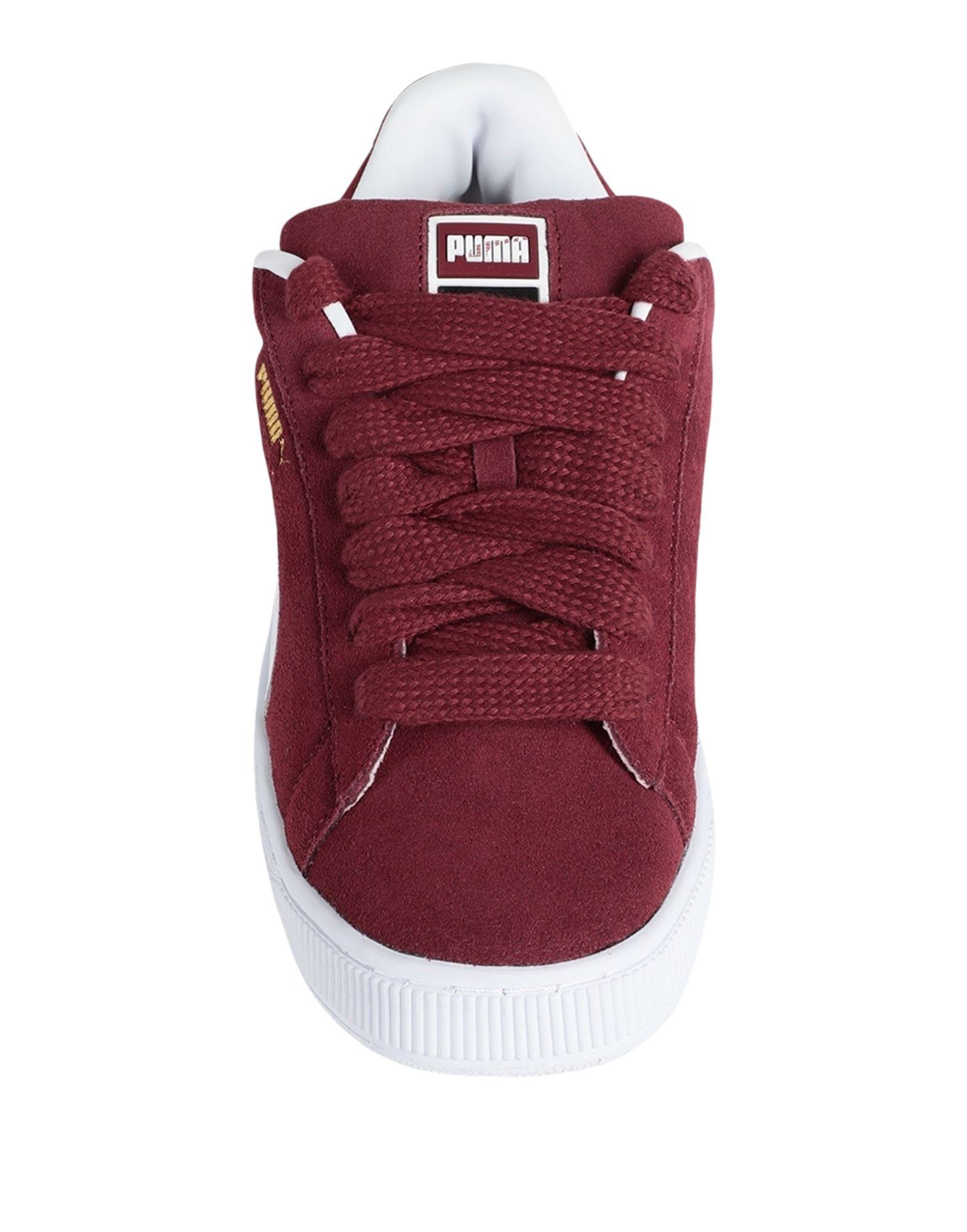 Burgundy puma trainers store