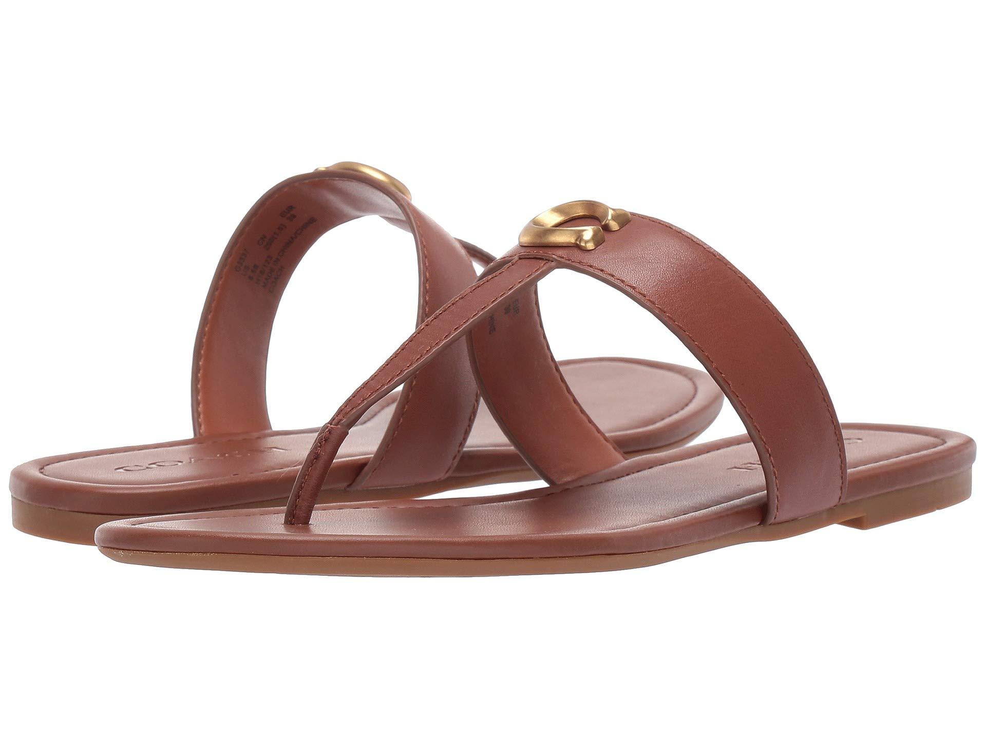 Coach thong flip flops store